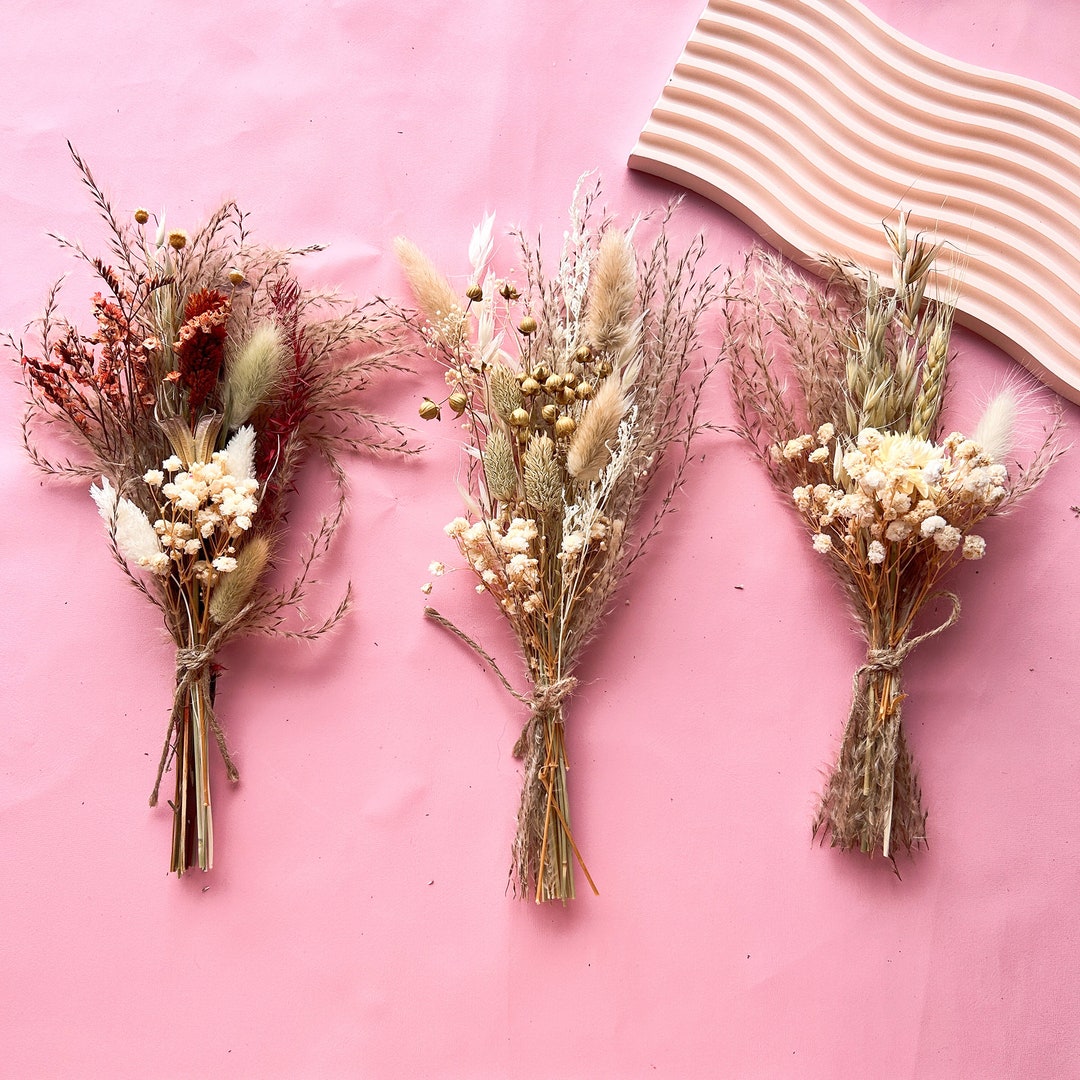 Bohemian Mini Dried Flower Bouquet, Pampas Grass Mini Dried Flower Set ...