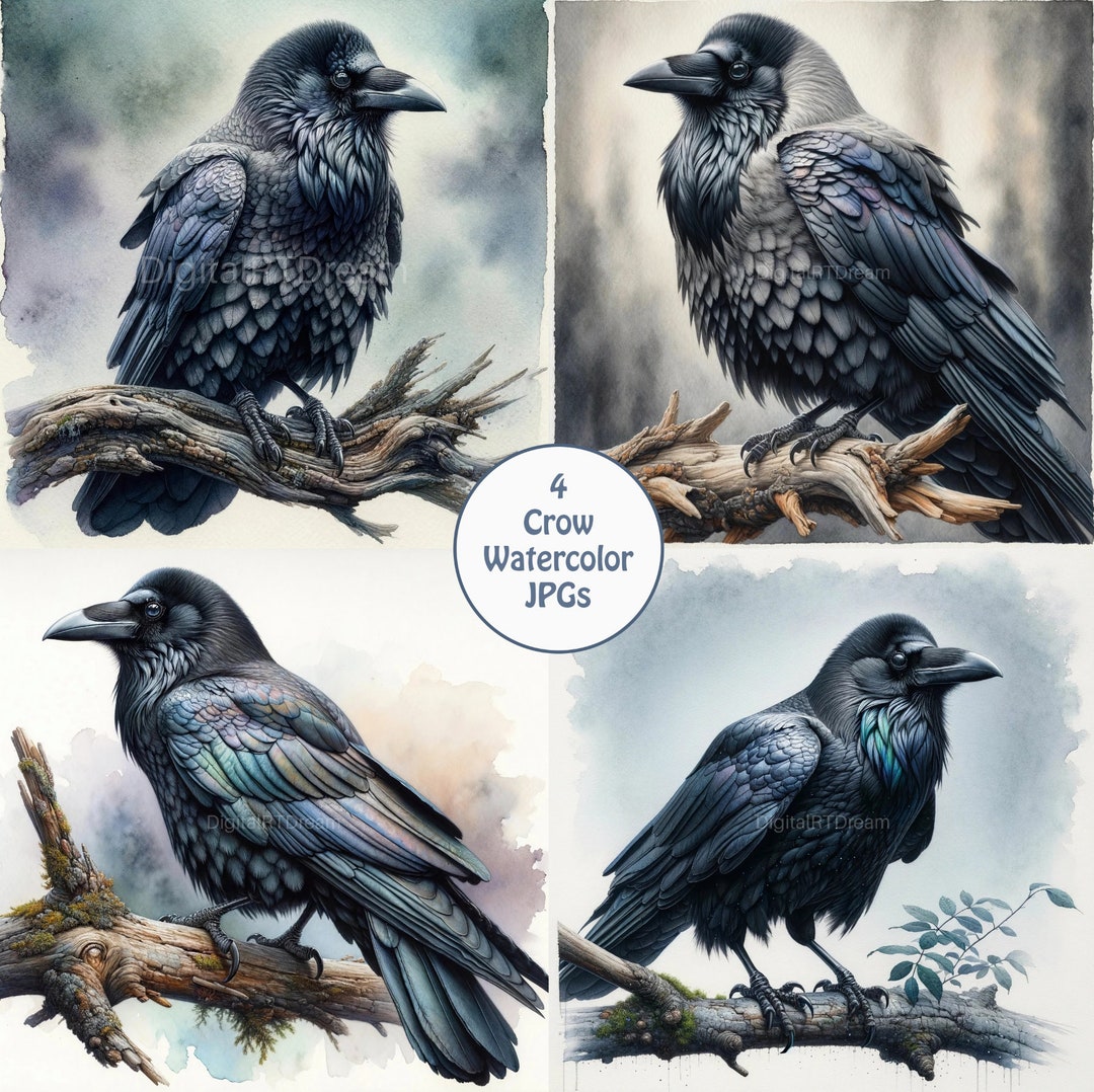 4 Watercolour Crow Images - Jpgs Digital Download - Journals, Scrapbook ...