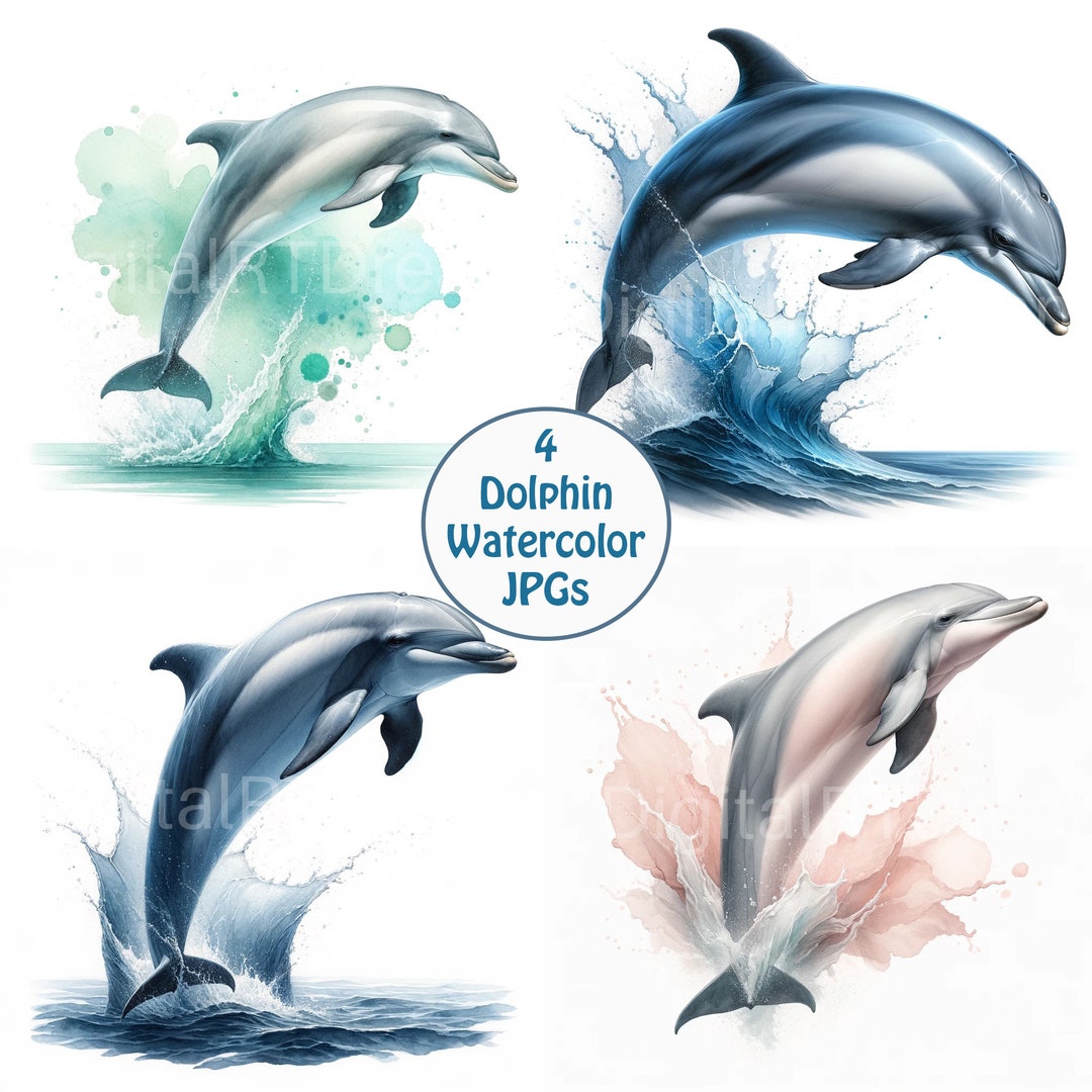 4 Watercolour Dolphin Images - Jpgs Digital Download - Journals ...