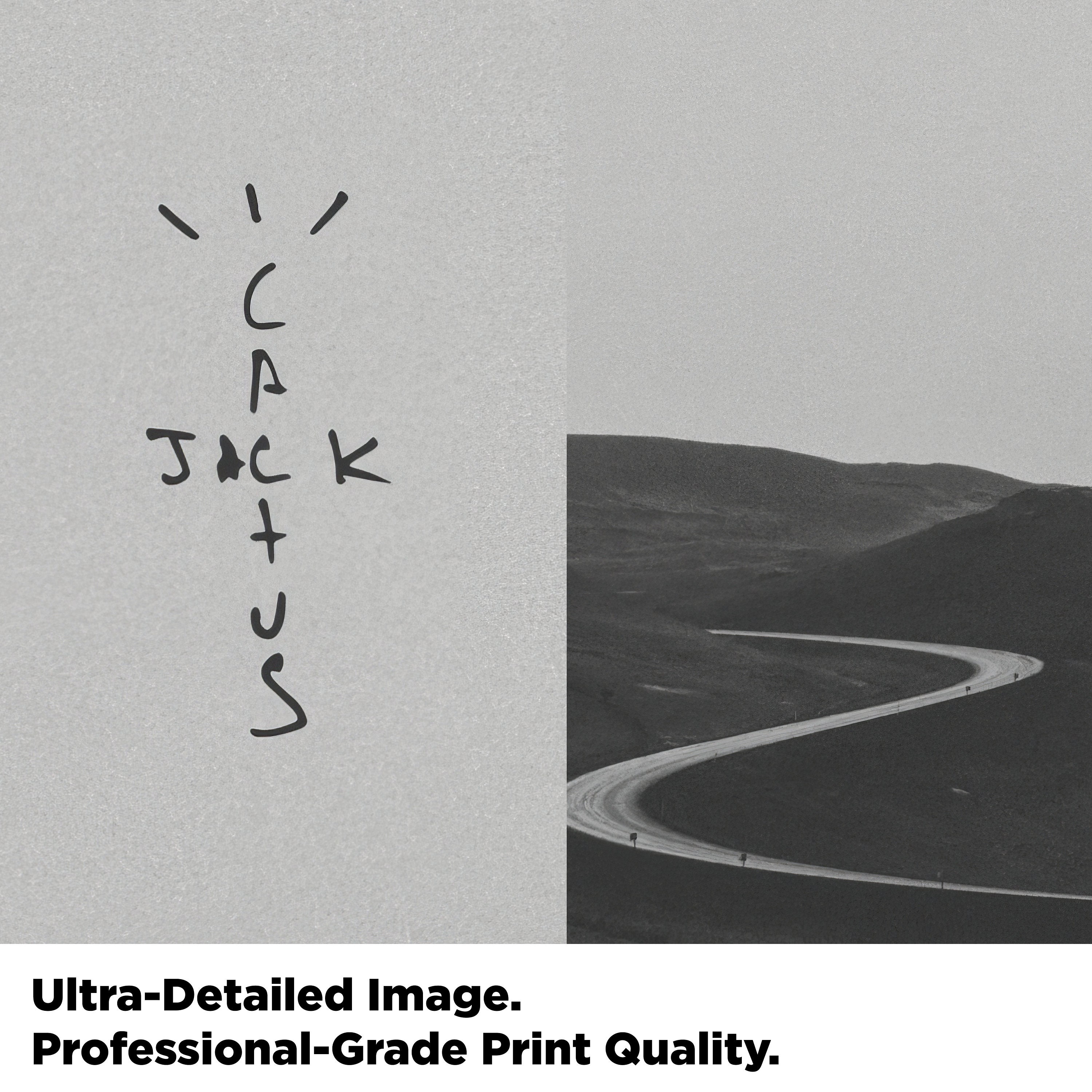 Cactus Jack Poster, Rodeo Theme Art, Vintage Western Decor, Music ...