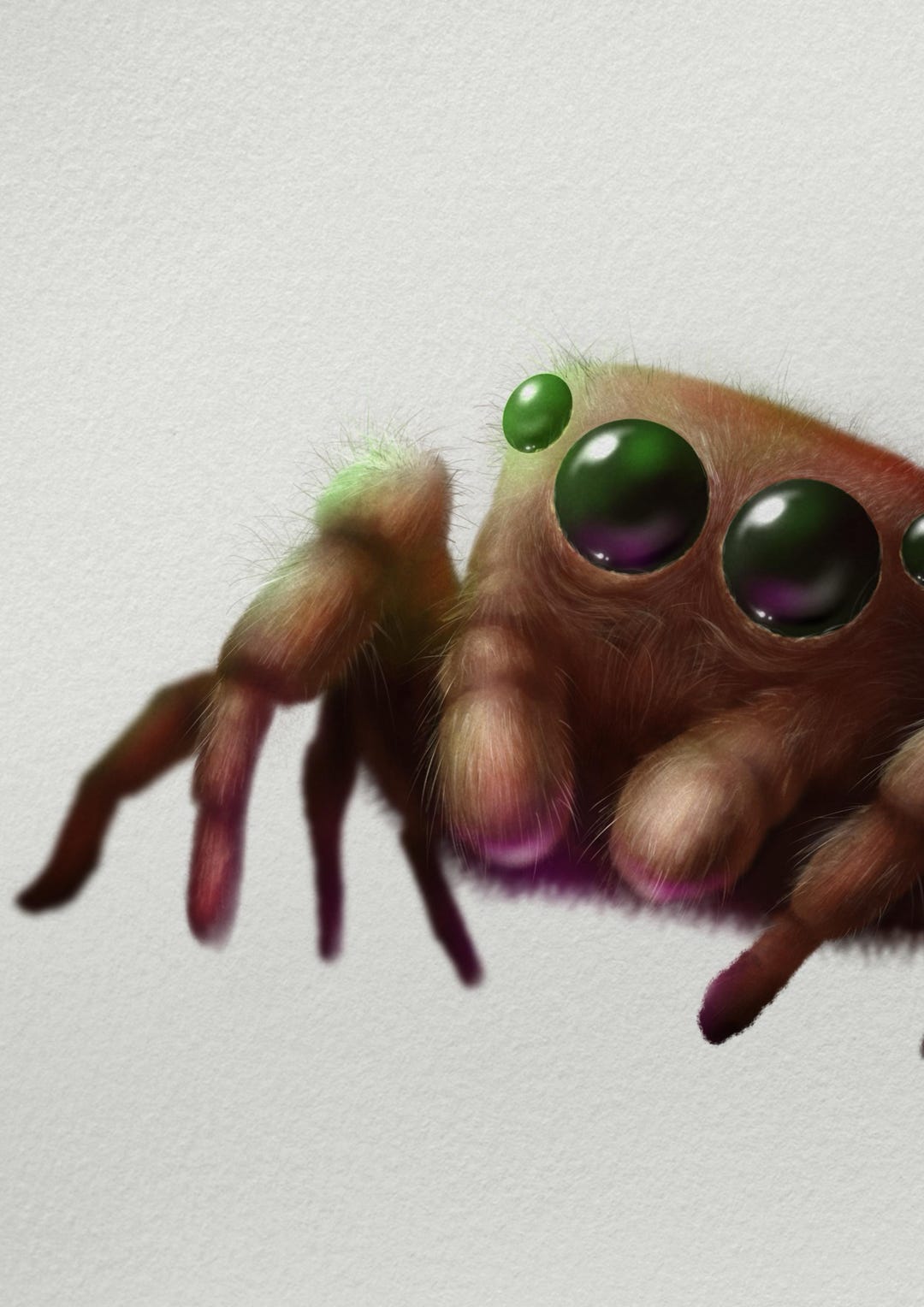 Arthur the Jumping Spider. Digital Art. Cute and Adorable Cartoon ...