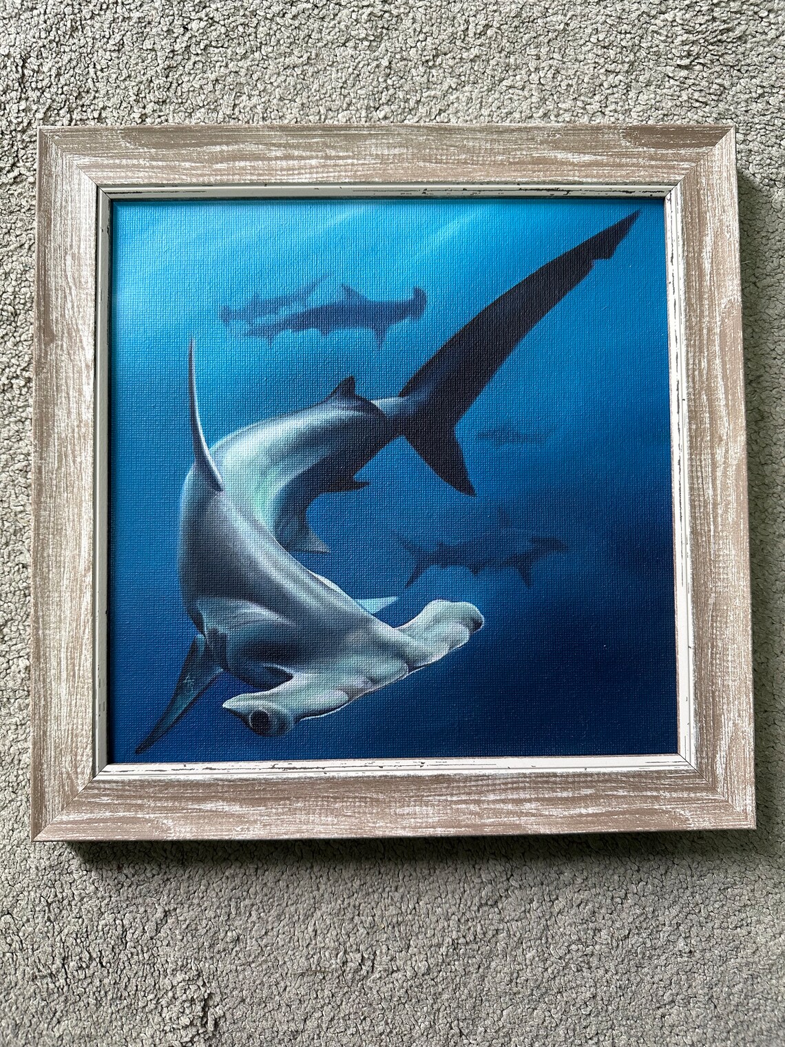 Hammerhead Shark ORIGINAL Art. Framed Oil Painting on Canvas Board ...