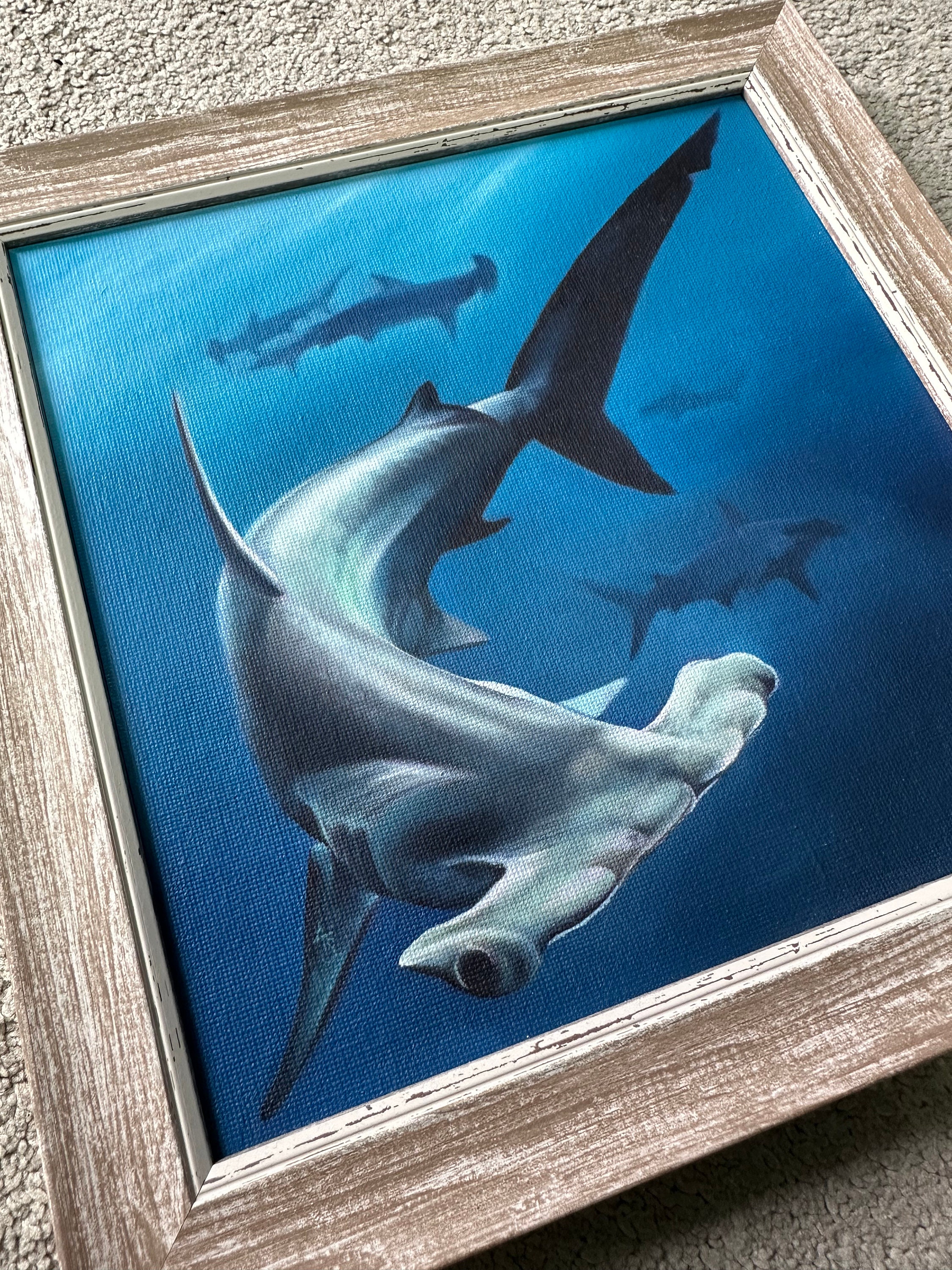 Hammerhead Shark ORIGINAL Art. Framed Oil Painting on Canvas Board ...
