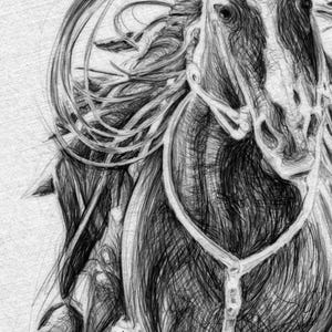 Dear Rodeo. Cowboy Riding a Horse With Lasso. Western Sketch Art ...