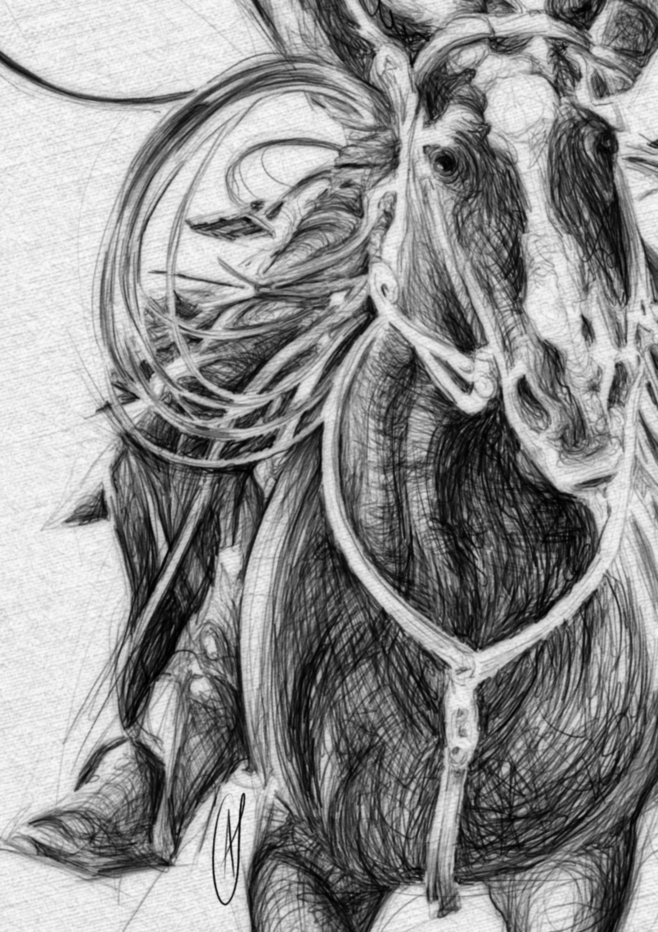 Dear Rodeo. Cowboy Riding a Horse With Lasso. Western Sketch Art ...