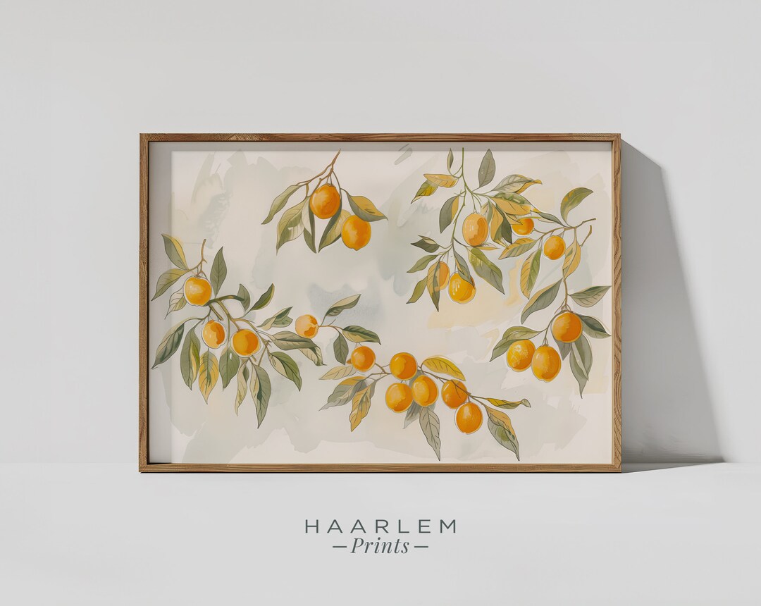 Summer Watercolor Oranges Artwork Vintage Sun Lit Orange Branches ...
