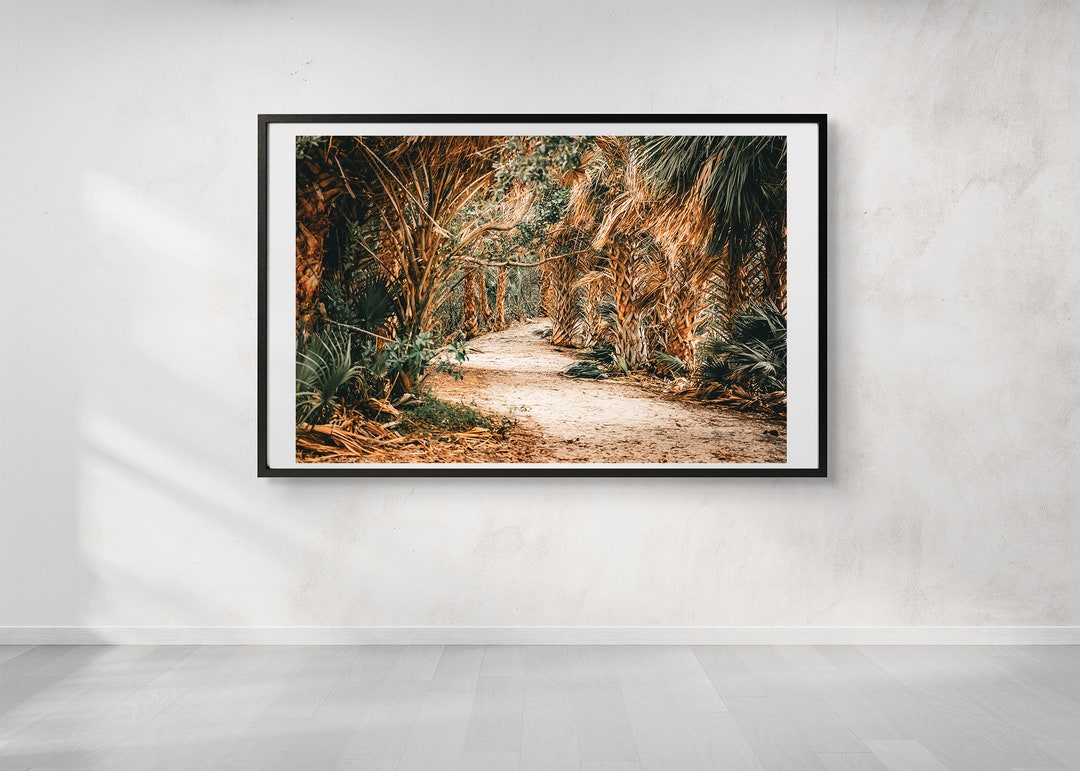 The Palm Path, Photography Print of Palm Trees, Outdoor Photography ...