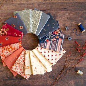 Throw Quilt Kit Art Gallery Quilt Kit Ombre Quilt Kit Soft Focus Quilt ...