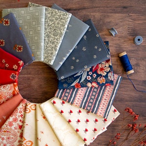 Throw Quilt Kit Art Gallery Quilt Kit Ombre Quilt Kit Soft Focus Quilt ...