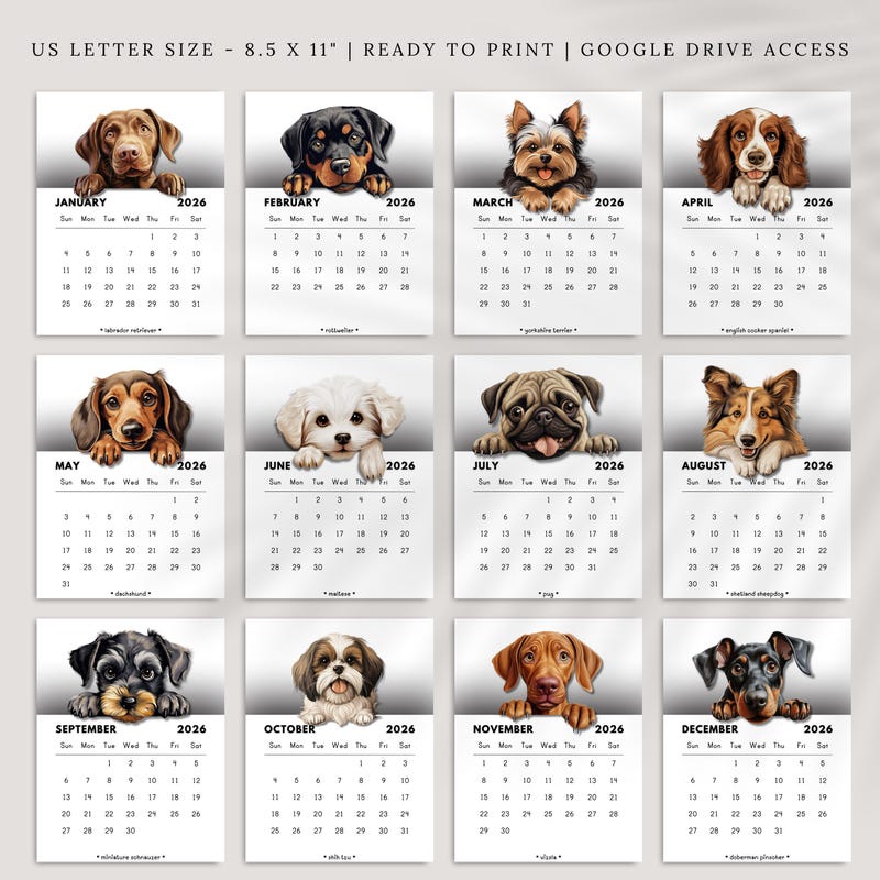 The Paw Print Calendar 2026 - Etsy