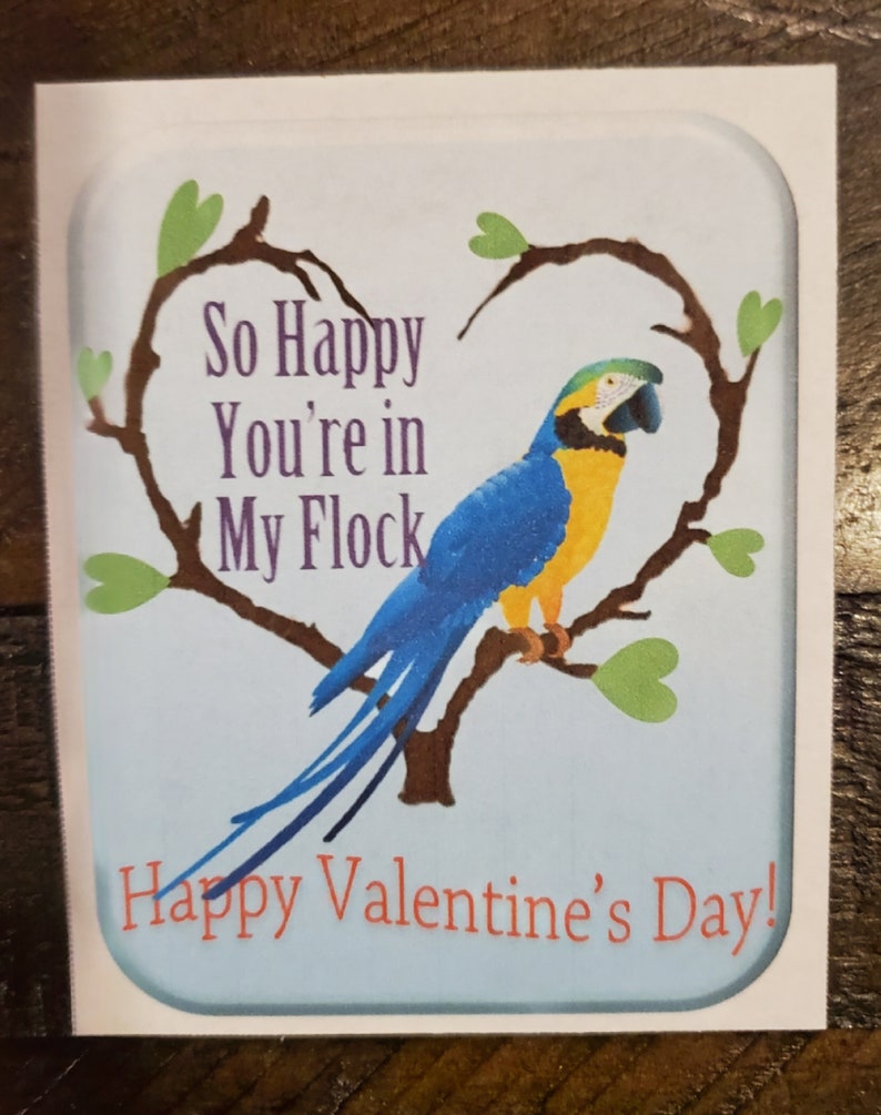 Parrot Valentines | Instant Download for Print - Etsy