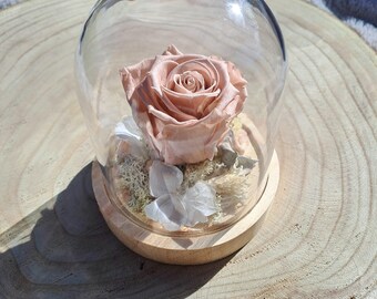 Eternal Rose Glass Dome, Preserved Flower Gift, Gift for Her, Valentine ...