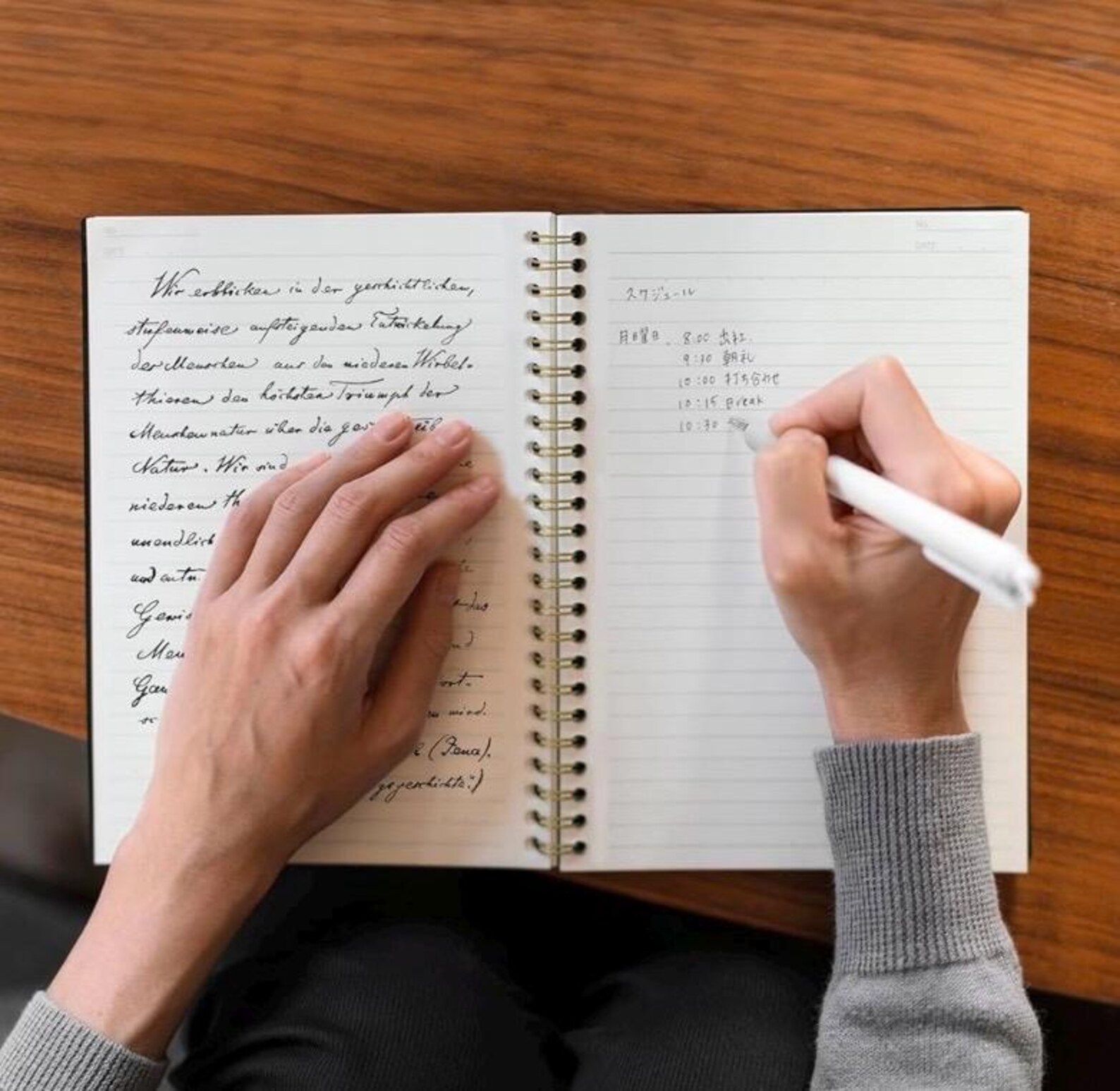 Pink Coquette Bows Spiral Journal Notebook 5.5×8.3,preppy Bows Spiral ...