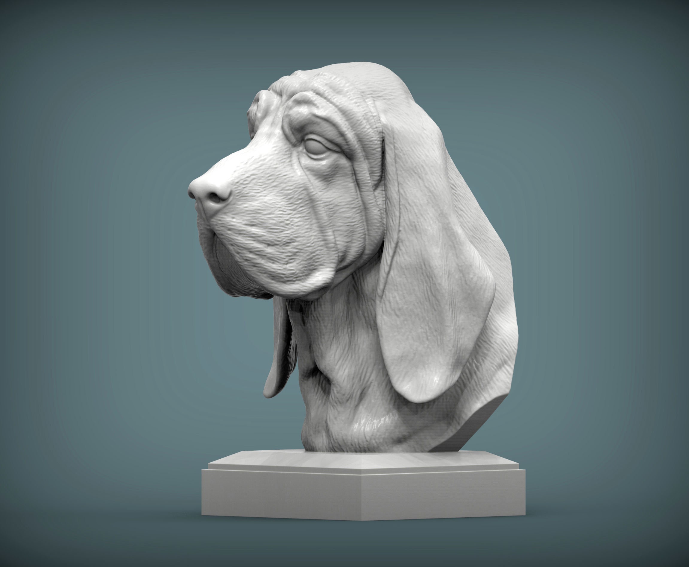 Paintable Bloodhound Bust DIY Bloodhound Sculpture Kit for Realistic ...
