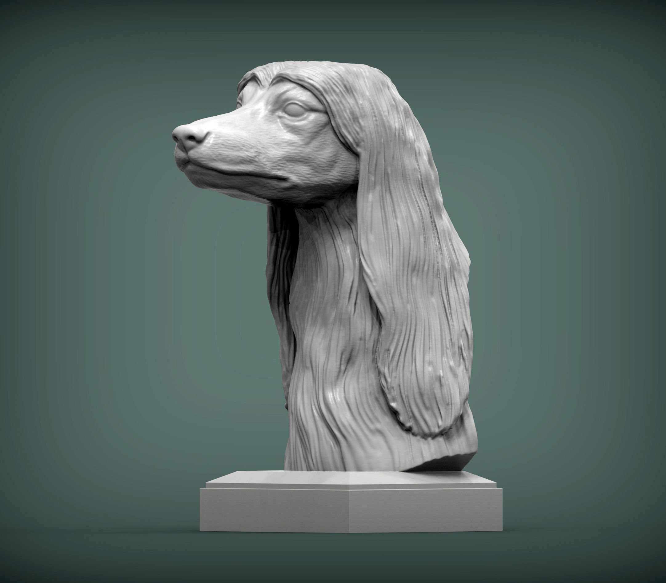 Paintable Afghan Hound Bust DIY Afghan Hound Sculpture Kit for ...