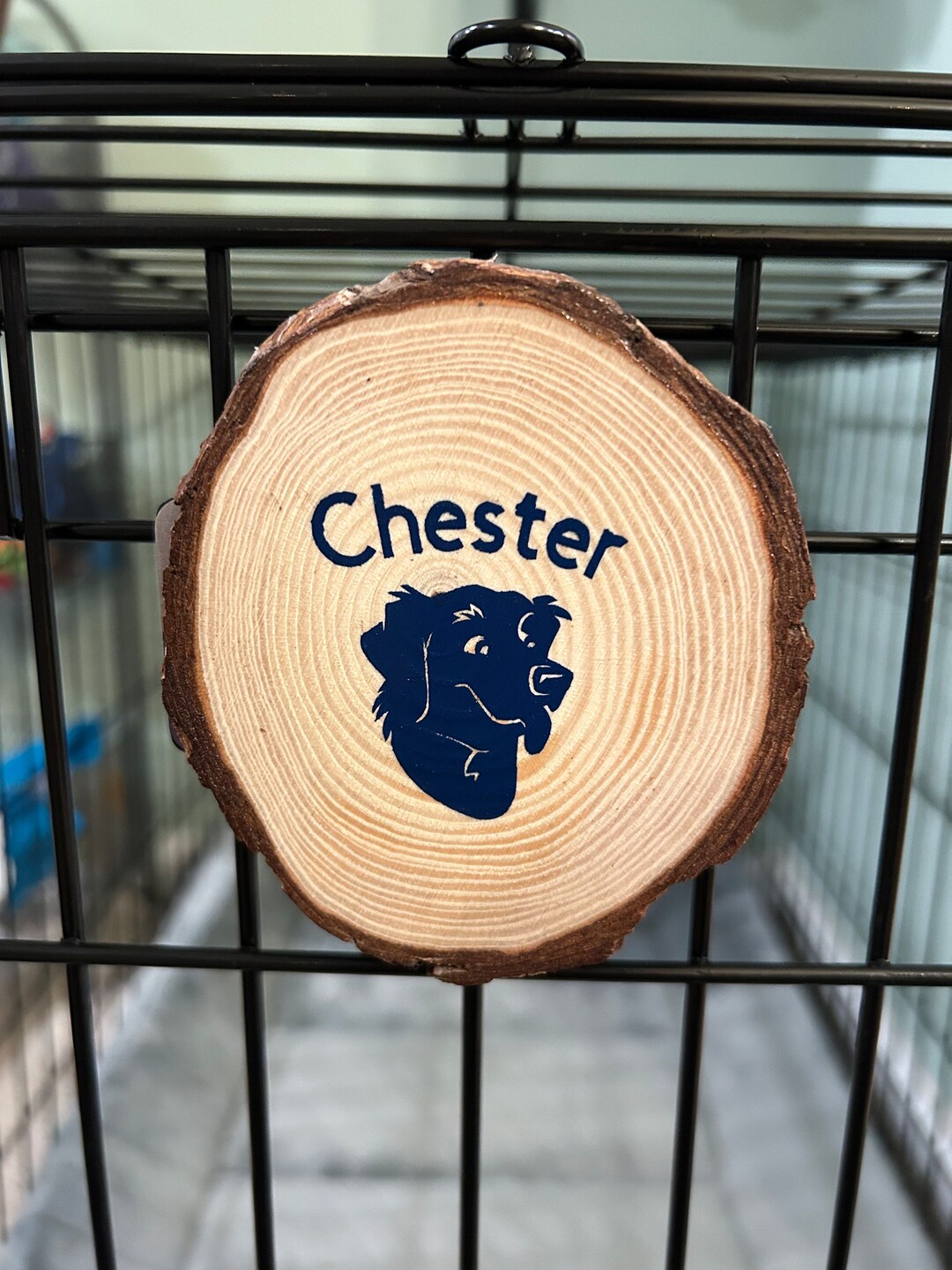 Hand Painted Dog Crate Name Tag - Etsy