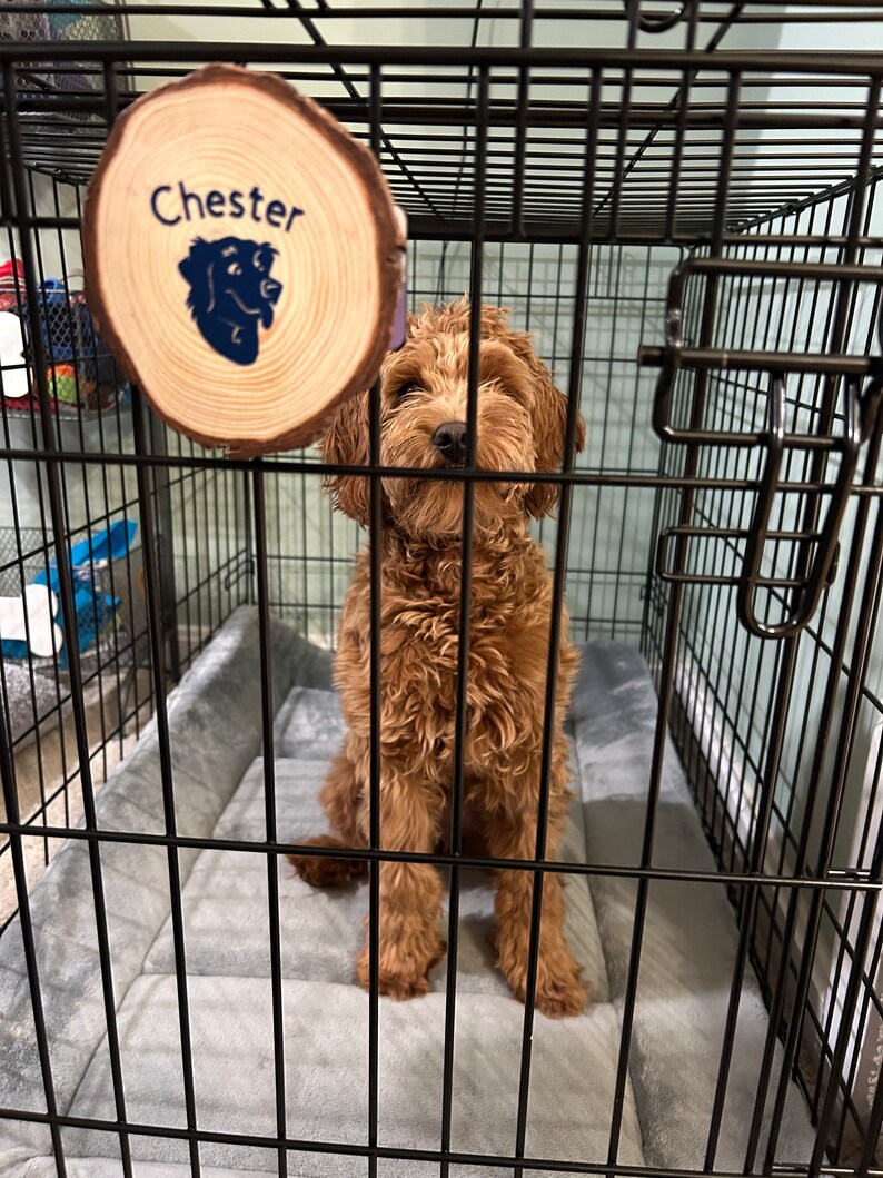 Hand Painted Dog Crate Name Tag - Etsy