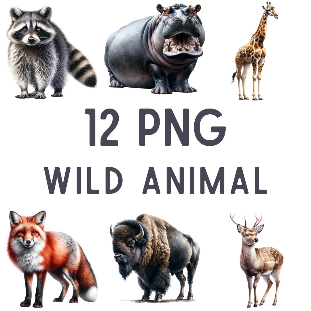 Wild Animals Watercolor PNG Clipart With Transparent Background Perfect ...