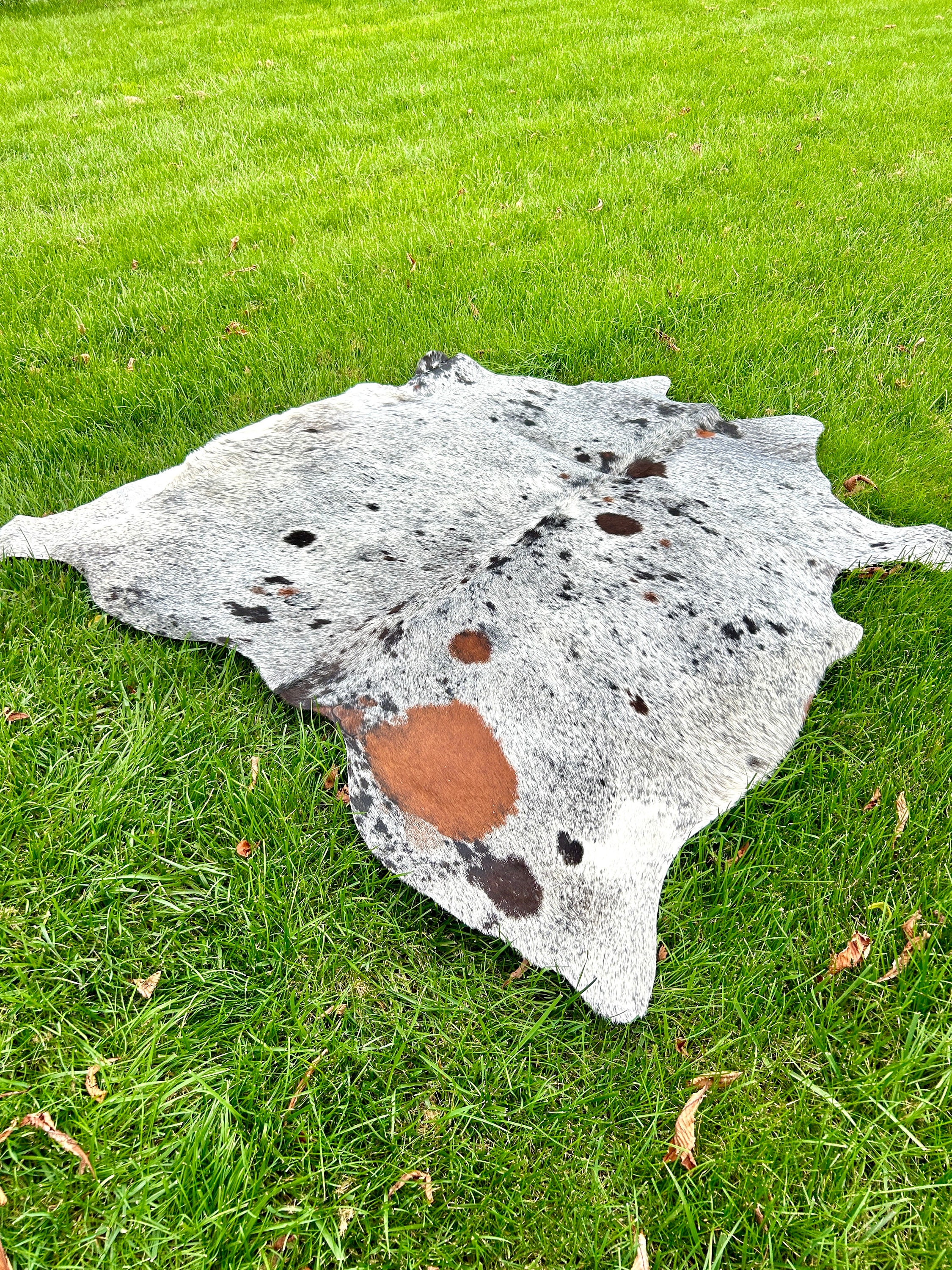 Genuine Tricolor Salt & Pepper Black Cowhide Rug, Speckled Brazilian ...
