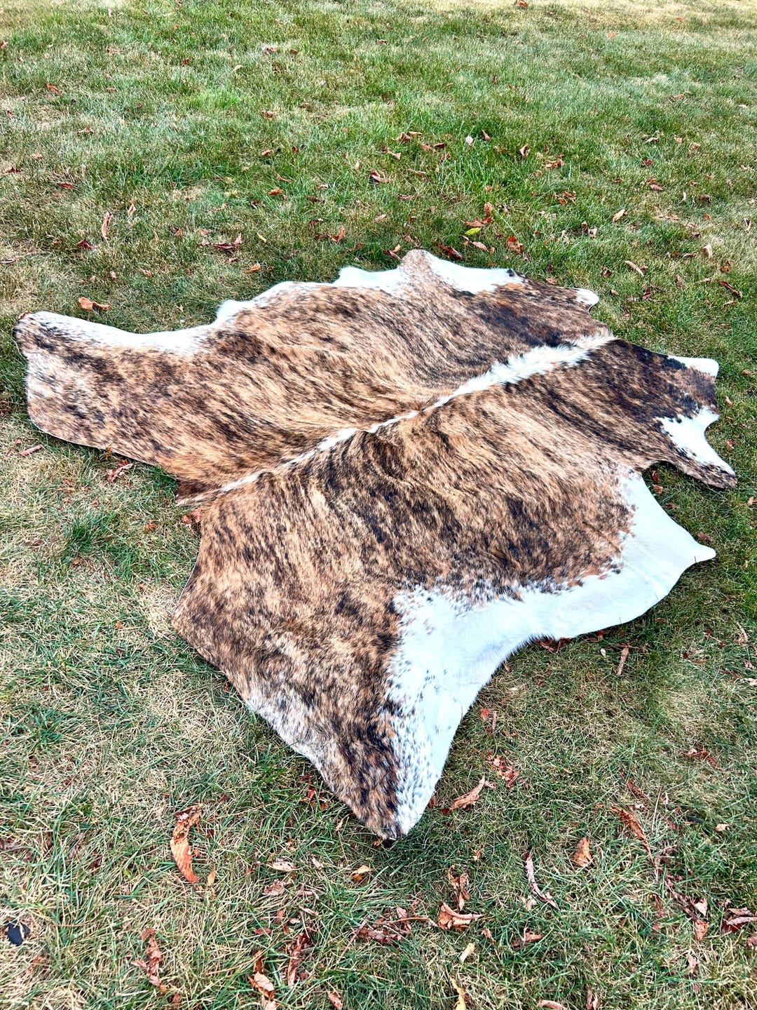 Genuine Tricolor Brindle Cowhide Rug, Brazilian Cow Hide Rug - Etsy