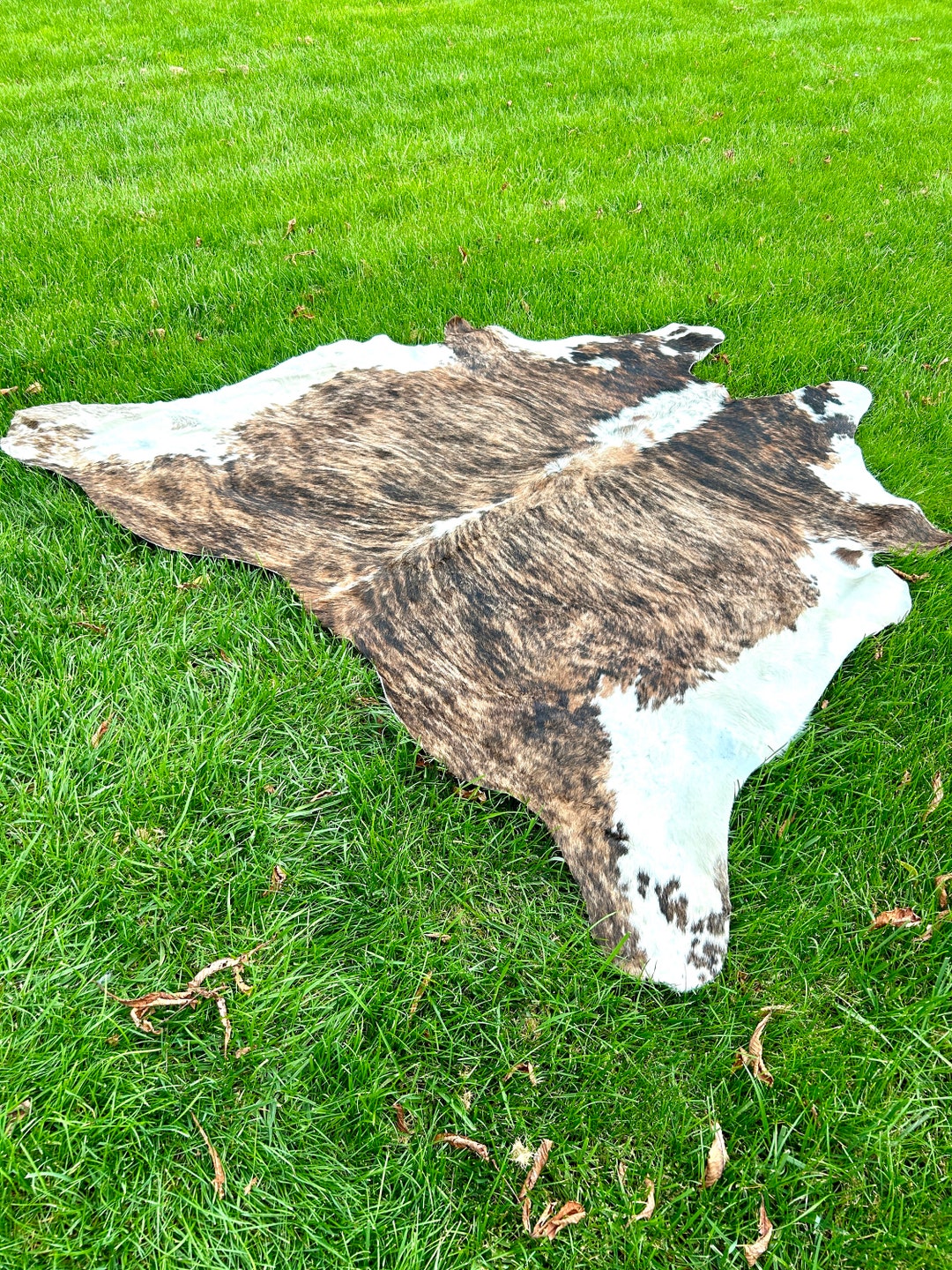 Genuine Tricolor Brindle Cowhide Rug, Brazilian Cow Hide Rug - Etsy