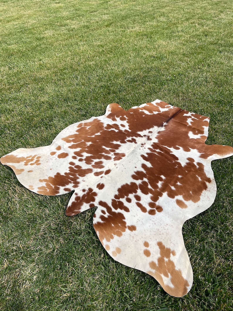 Tricolor Speckled Cowhide Rug, Brazilian Cow Hide - Etsy