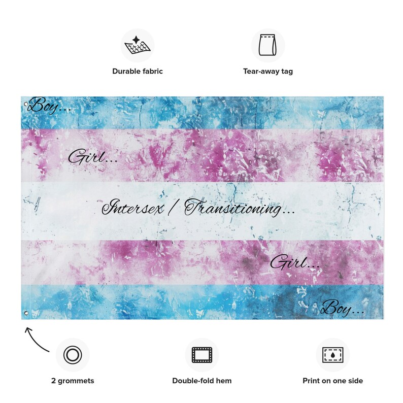 Creative Transgender Pride Flag With "know Your Flag" Details - Weathered Look (3ft X 5ft) (36in ...