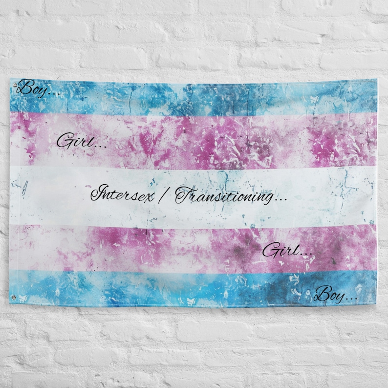 Creative Transgender Pride Flag With "know Your Flag" Details - Weathered Look (3ft X 5ft) (36in ...
