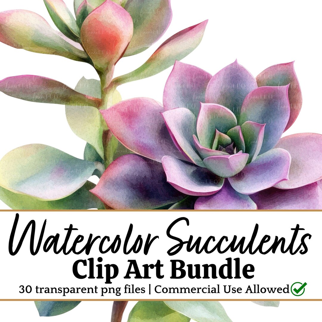 Succulent CLIPART Cactus PNG Watercolor Plant Botanical Greenery ...