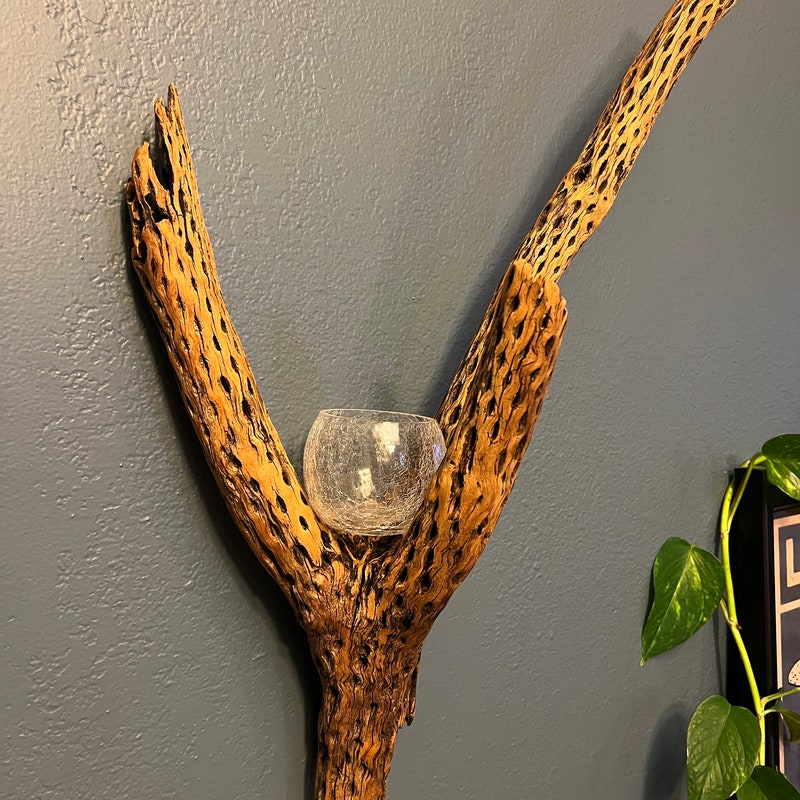 Cholla Wood - Etsy