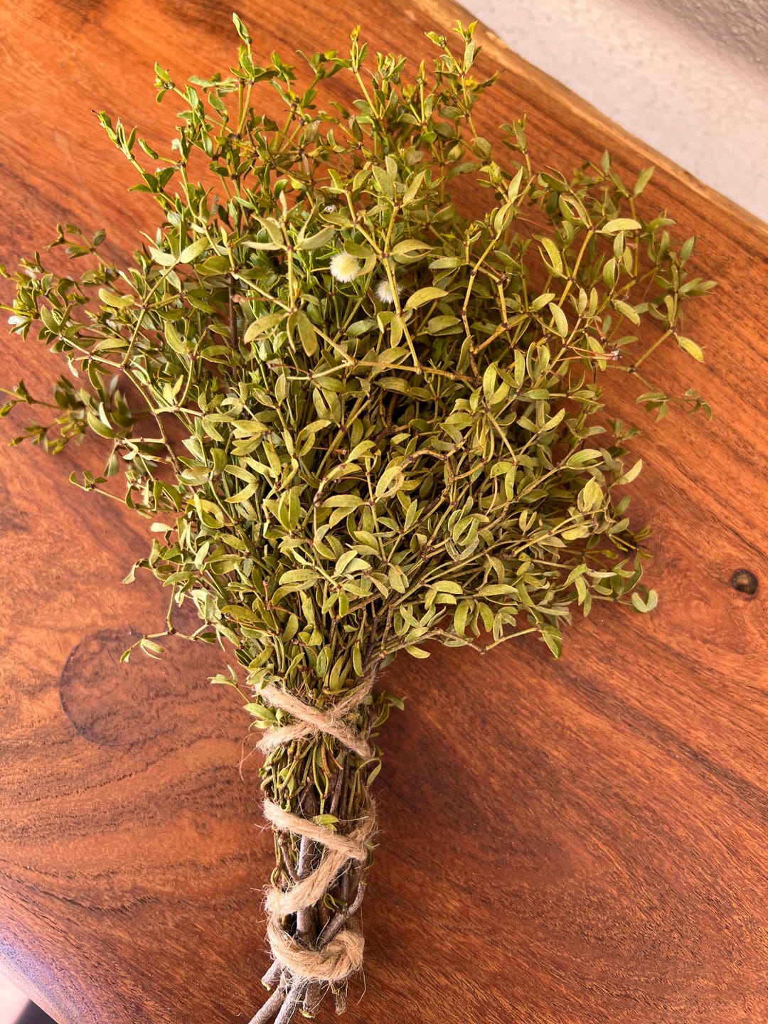 Chaparral Bundle - Smells of Desert Rain - Creosote Bush - Etsy