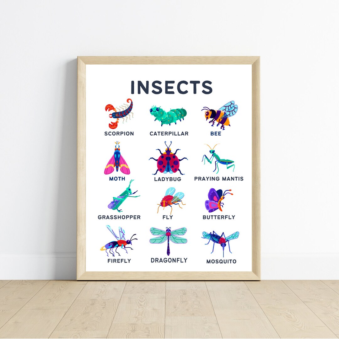 Insects Print for Nursery/playroom/kids Room - Boys Room - Girls Room ...