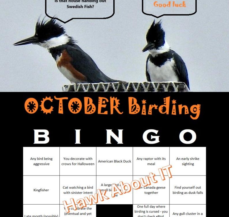 DIGITAL FILE: October Birding Bingo - Etsy