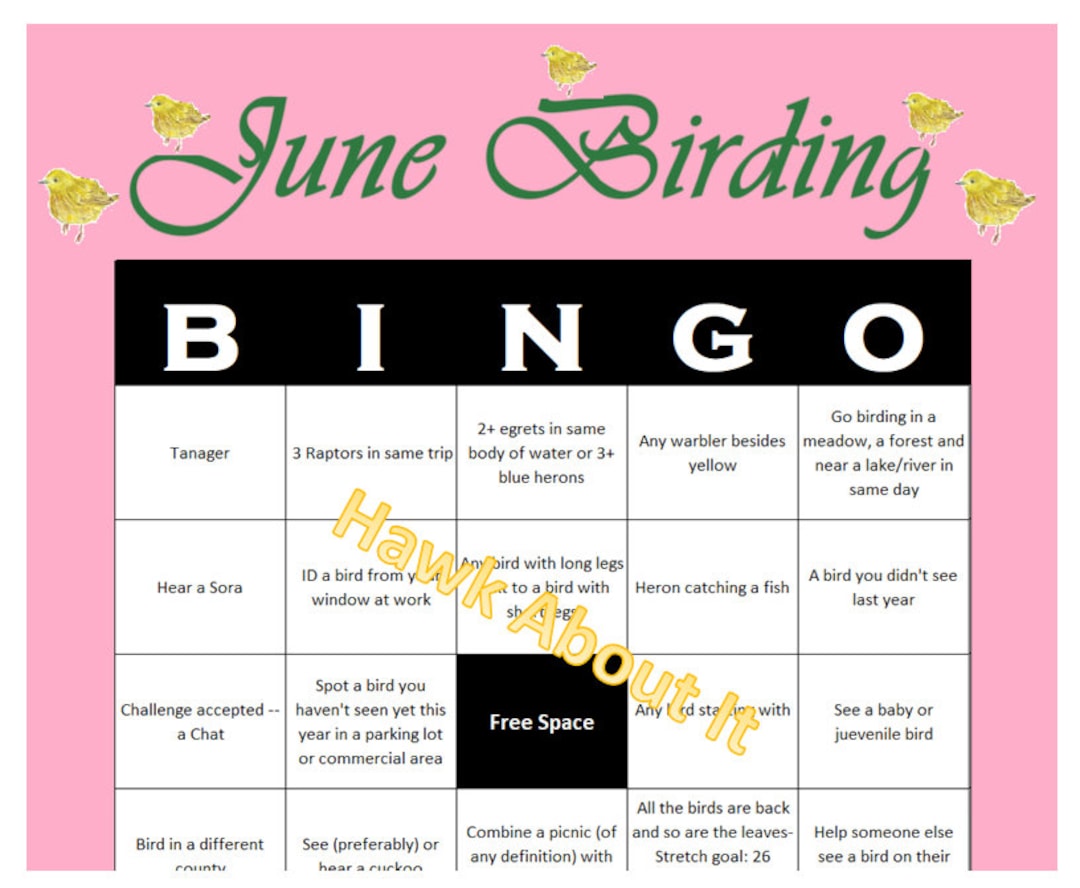 DIGITAL FILE: June Birding Bingo V2 - Etsy