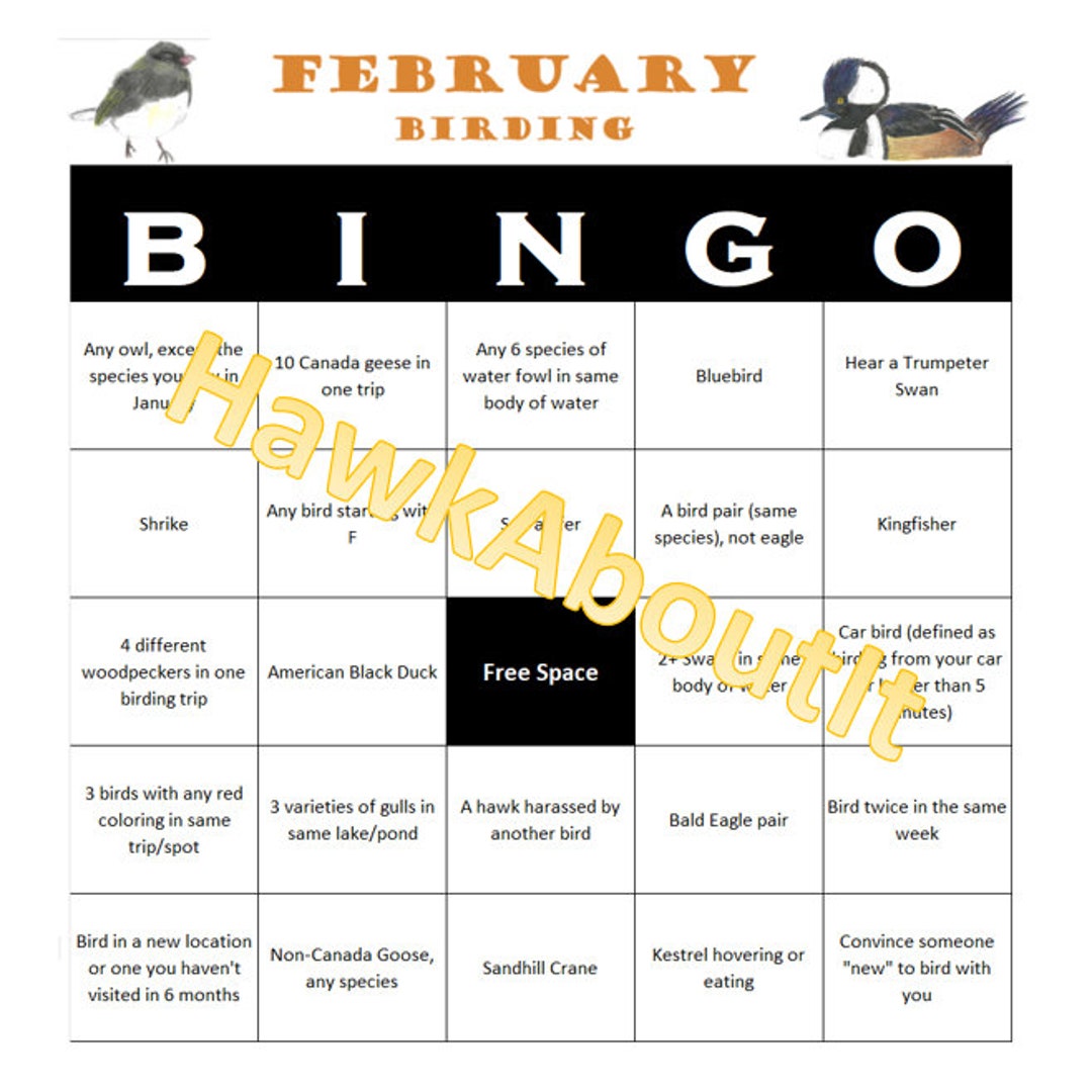 DIGITAL FILE: February Birding Bingo V1 - Etsy