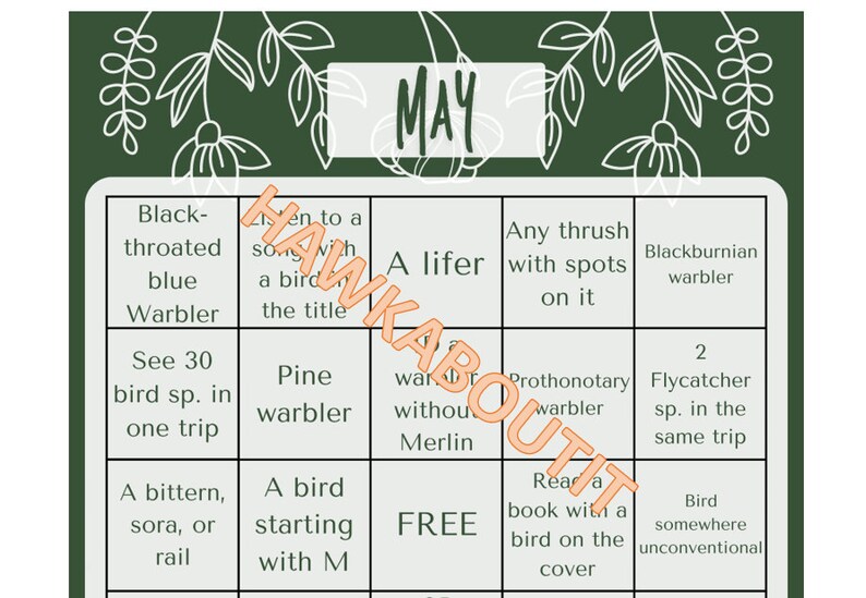 DIGITAL FILE: May Birding Bingo V1 - Etsy