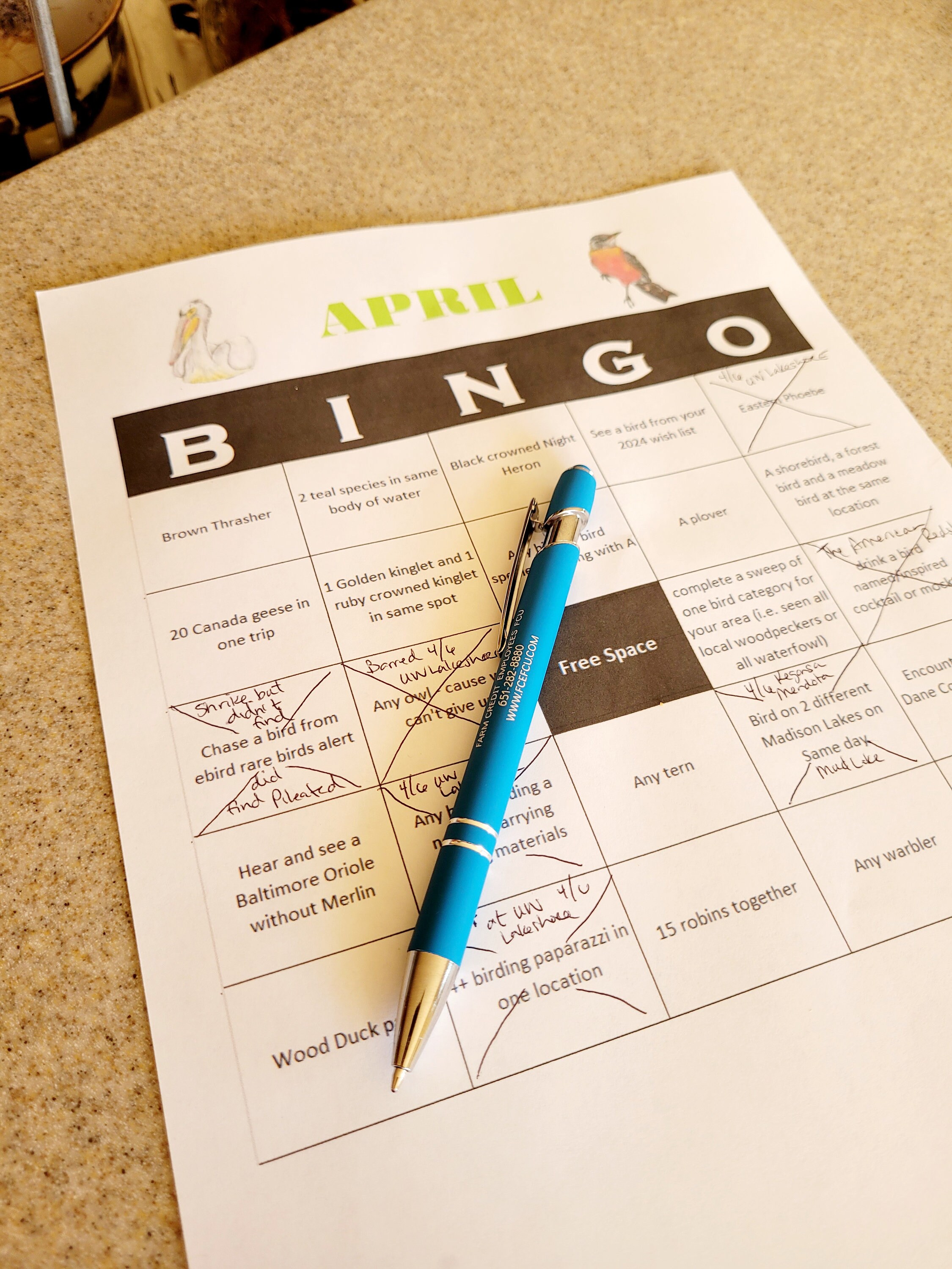 DIGITAL FILE: April Birding Bingo V1 - Etsy