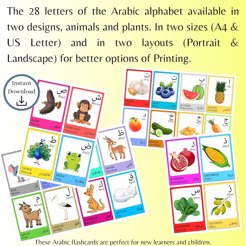 Arabic Alphabet Cards, Animals Flashcards in Arabic, Arabic Fruits ...