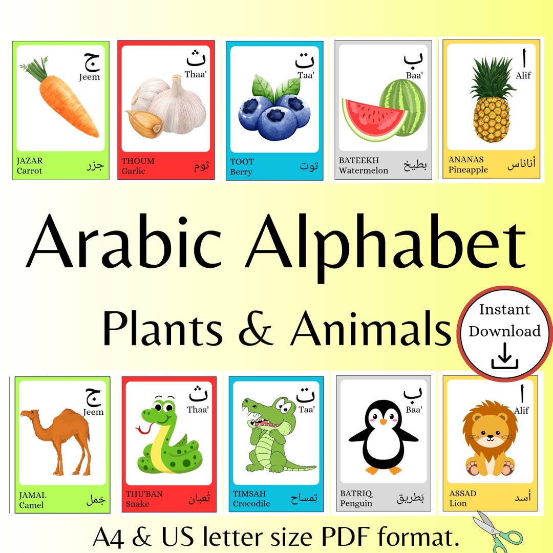 Arabic Alphabet Cards, Animals Flashcards in Arabic, Arabic Fruits ...