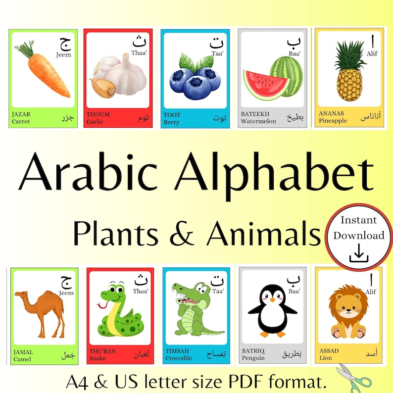 Arabic Alphabet Cards, Animals Flashcards in Arabic, Arabic Fruits ...