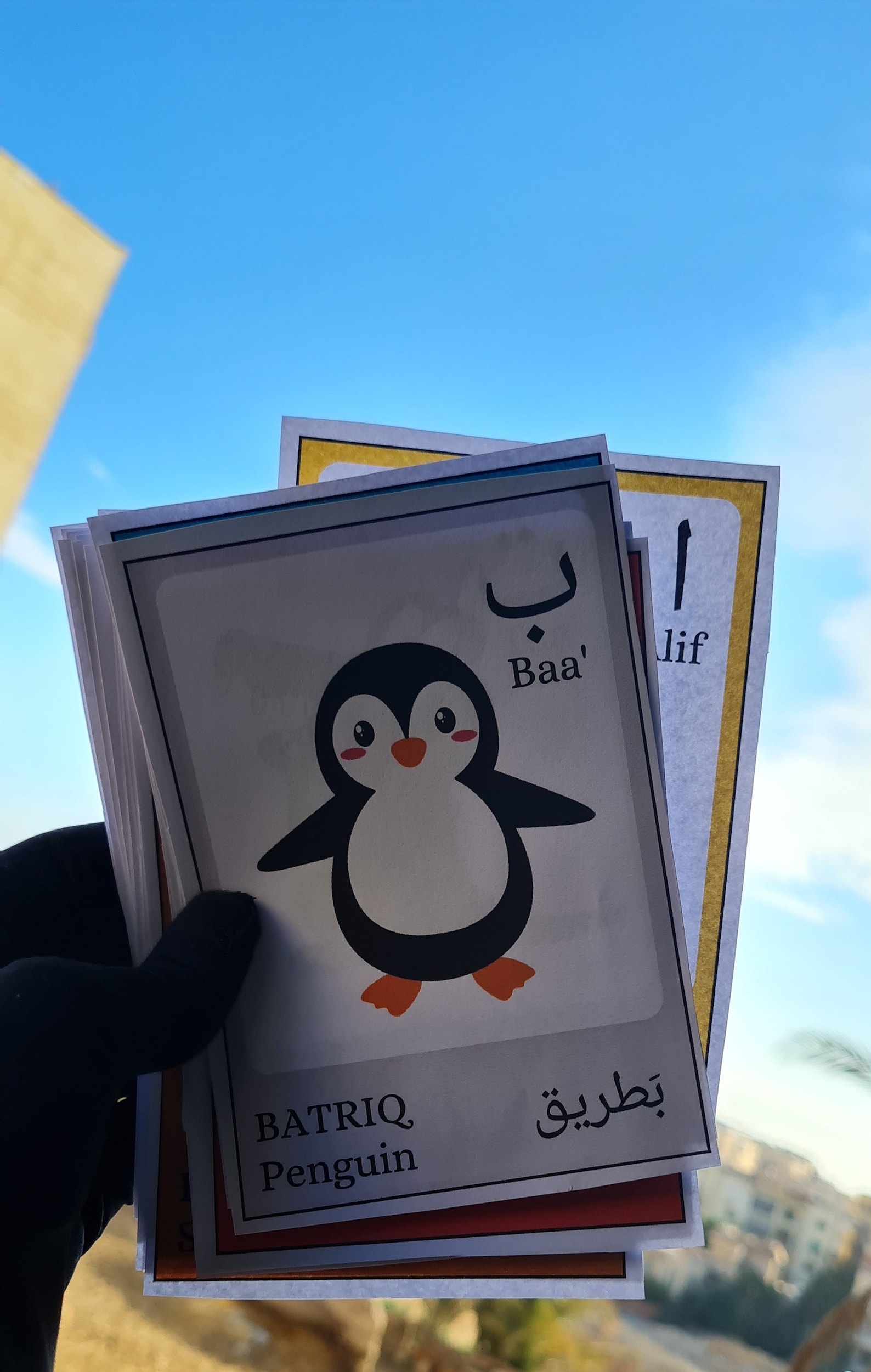 Arabic Alphabet Cards, Animals Flashcards in Arabic, Arabic Fruits ...