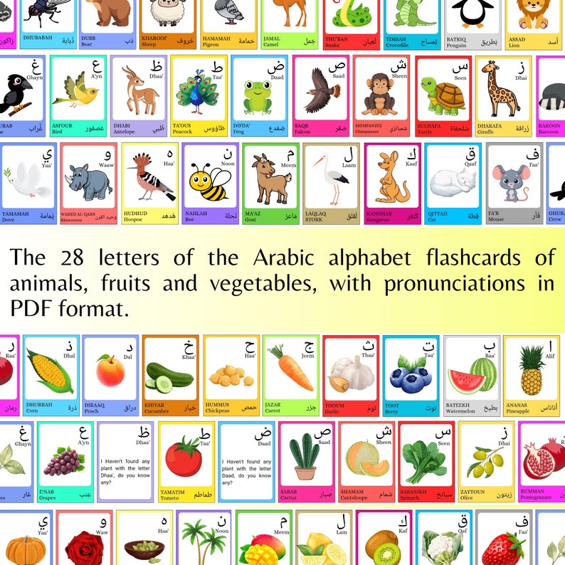 Arabic Alphabet Cards, Animals Flashcards in Arabic, Arabic Fruits ...