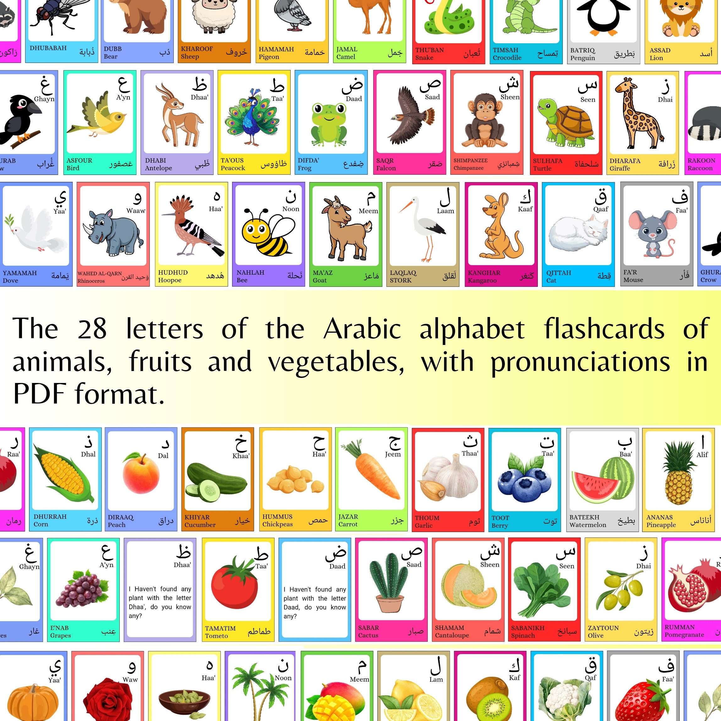 Arabic Alphabet Cards, Animals Flashcards in Arabic, Arabic Fruits ...