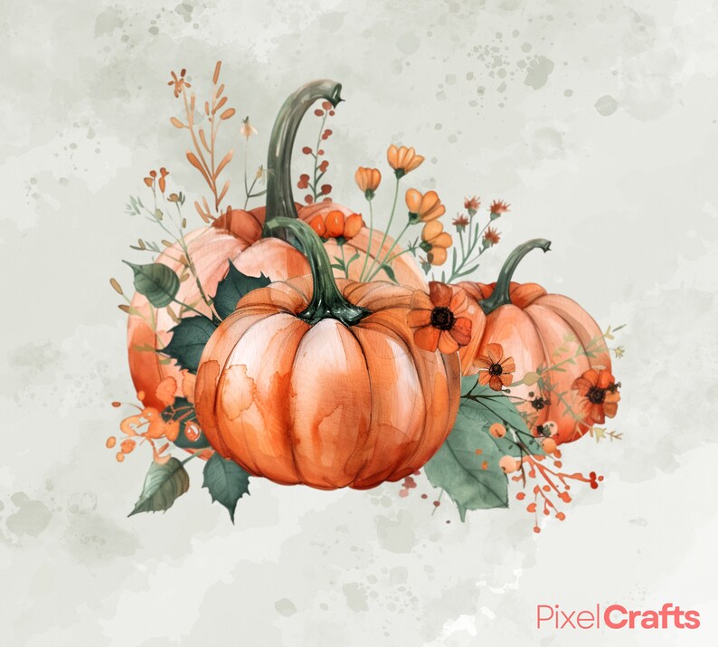 Floral Pumpkin Clipart, Fall Grapgics Png, Autumn Clipart, Watercolor ...