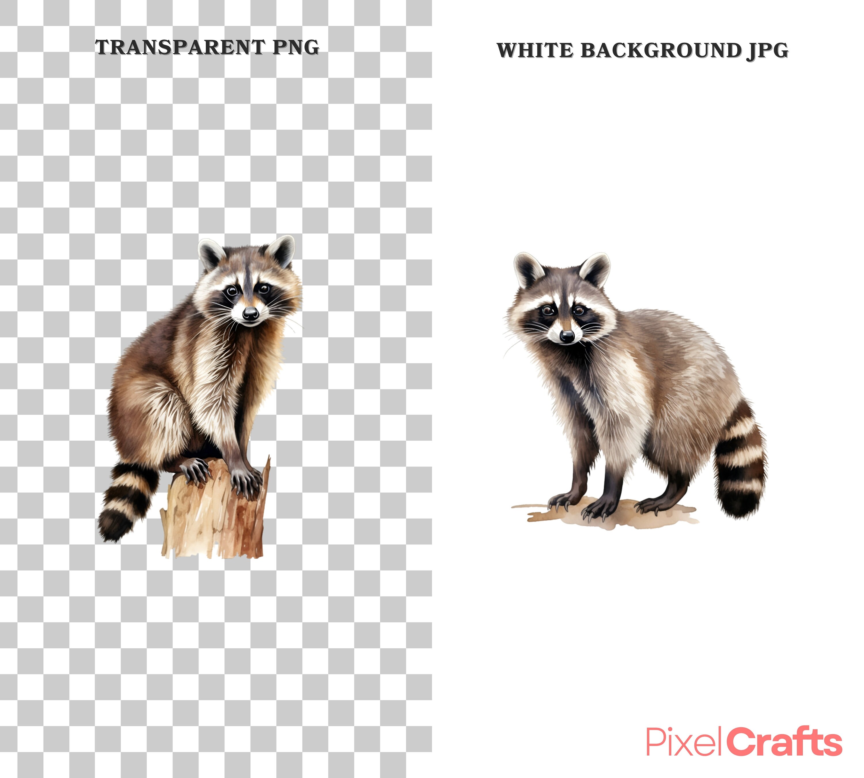 Watercolor Raccoon Clipart, Cute Raccoon Png, Floral Raccoon Stickers ...