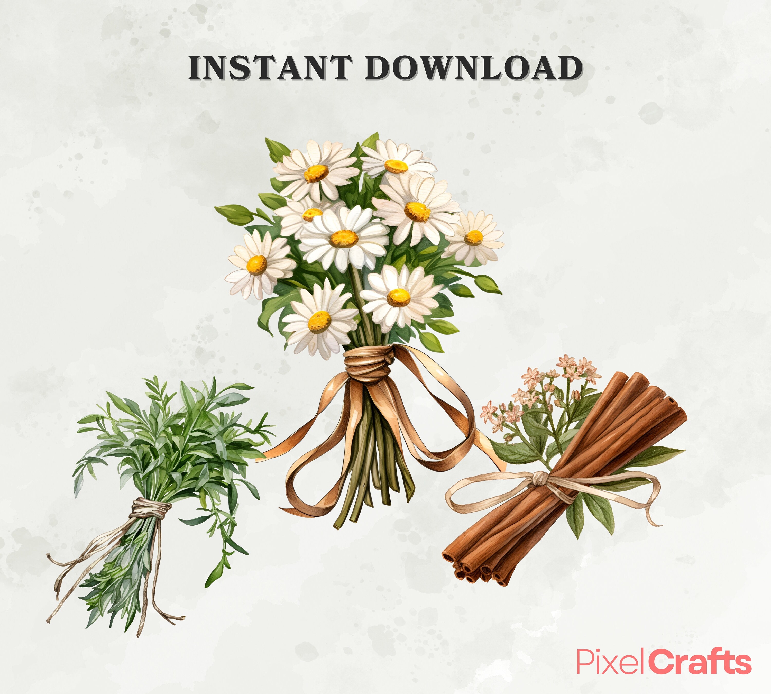 Watercolor Medicinal Herbs Clipart, Plants Clipart, Bunch of Herbs Png ...
