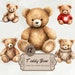 Teddy Bear Clipart Bundle, Watercolor Fluffy Teddy Png Images ...
