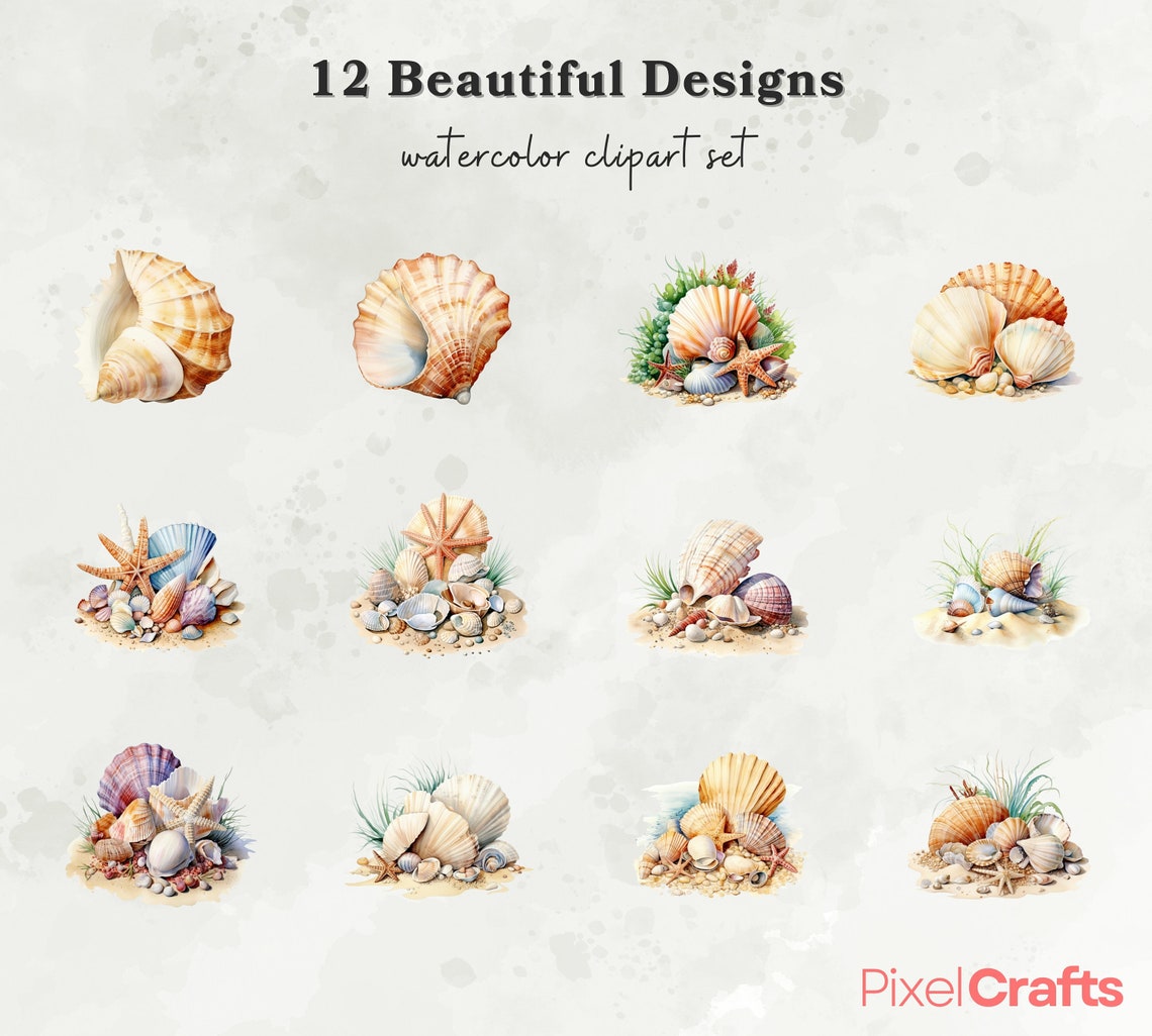 Watercolor Seashells Clipart, Sea Shells Png, Nautical Clipart, Ocean ...