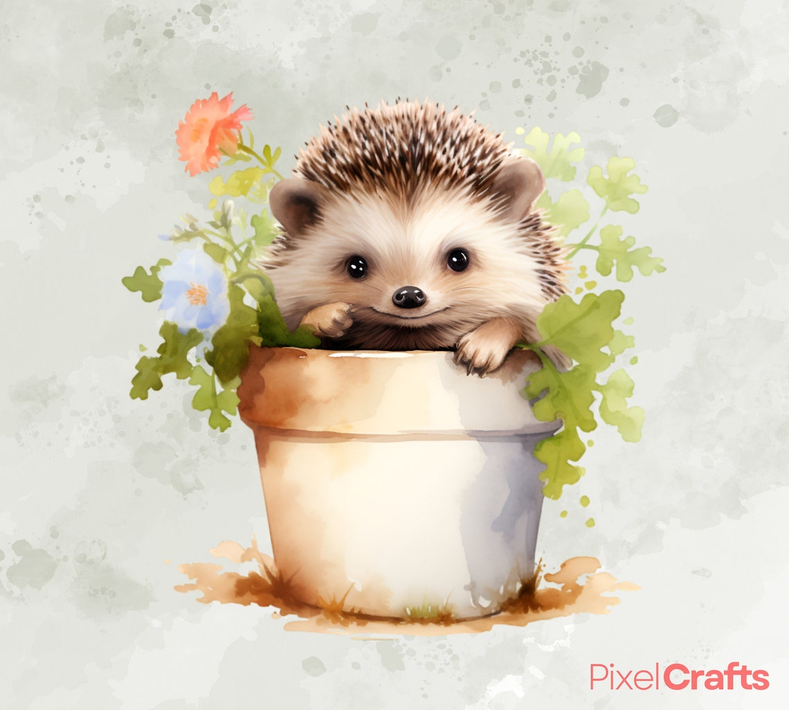 Cute Hedgehog Clipart, Watercolor Floral Hedgehog in Potted Clipart ...