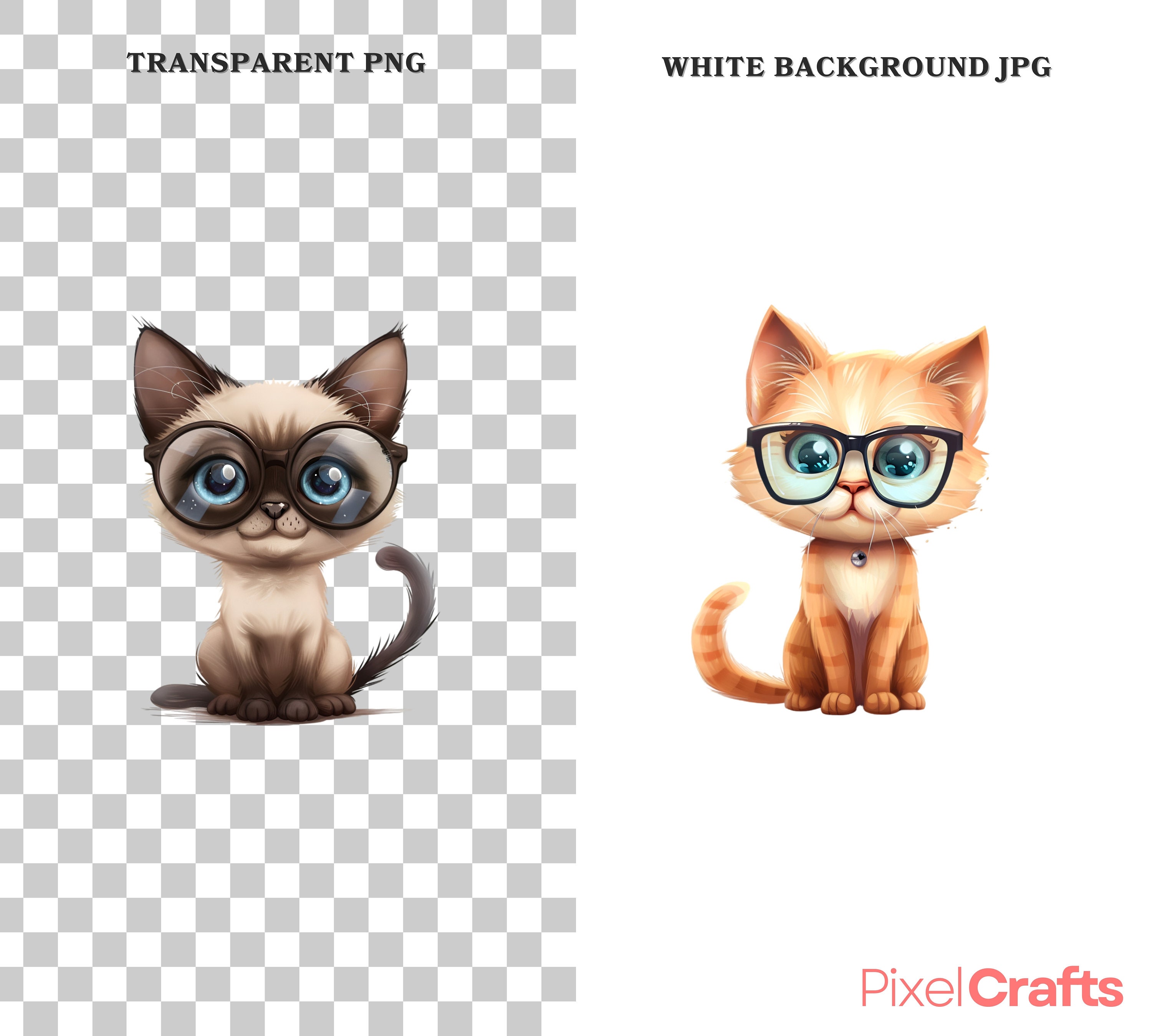Cute Cat Clipart, Funny Cat Png, Cute Kitten Clipart, Kitten Bundle ...